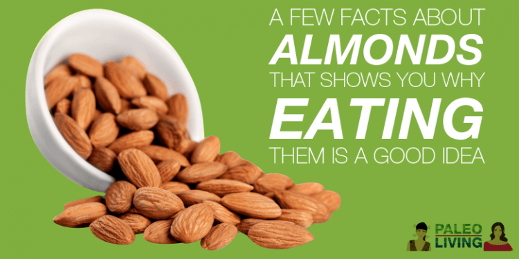 A Few Facts About Almonds That Shows You Why Eating Them Is A Good Idea ...